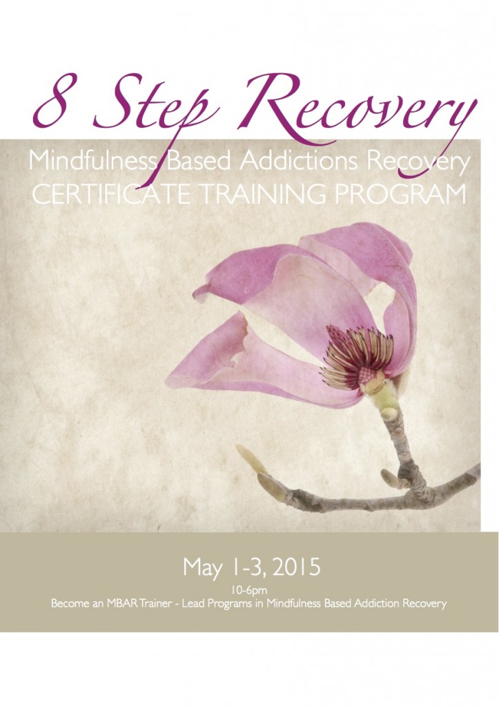 8 Step Recovery – INSTITUTE OF TRADITIONAL MEDICINE