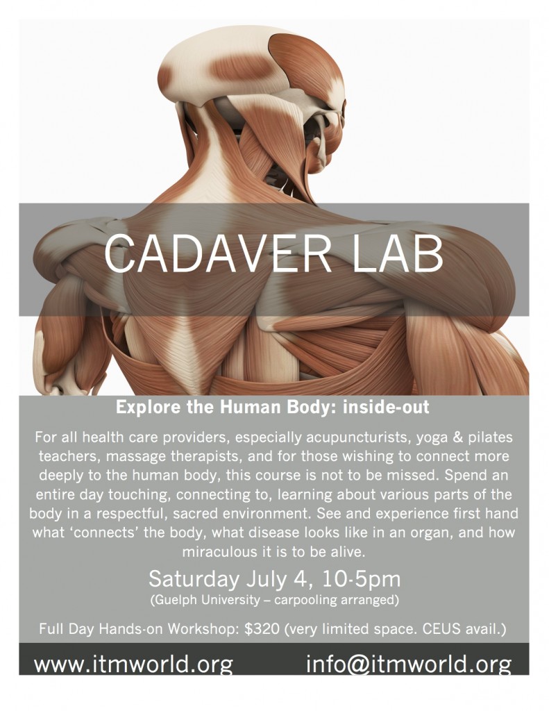 Cadaver Lab – INSTITUTE OF TRADITIONAL MEDICINE