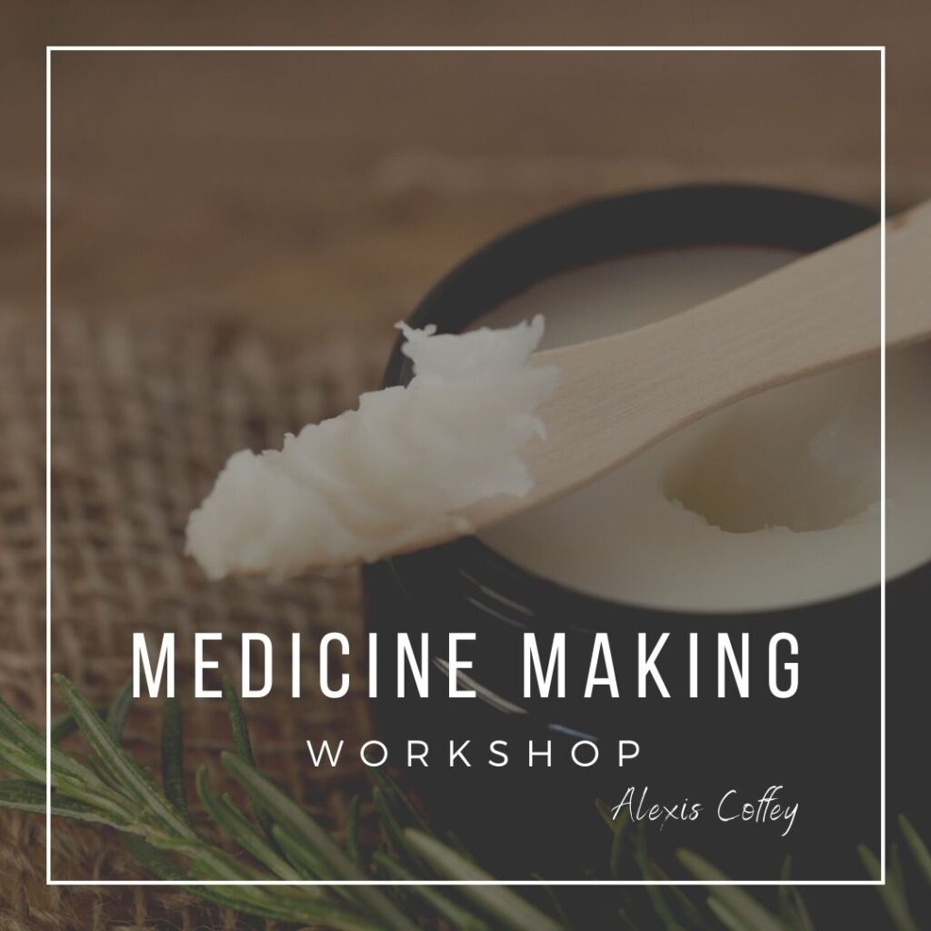 Medicine Making – INSTITUTE OF TRADITIONAL MEDICINE