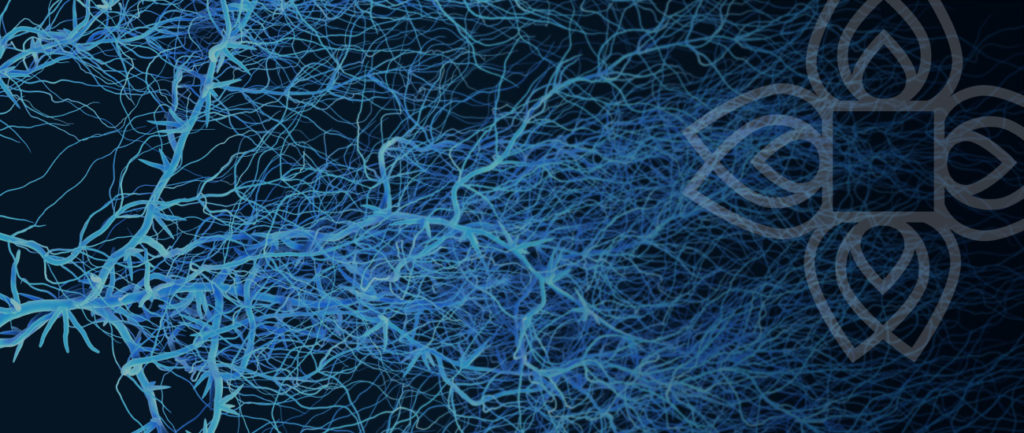 cpp-banner-f – INSTITUTE OF TRADITIONAL MEDICINE